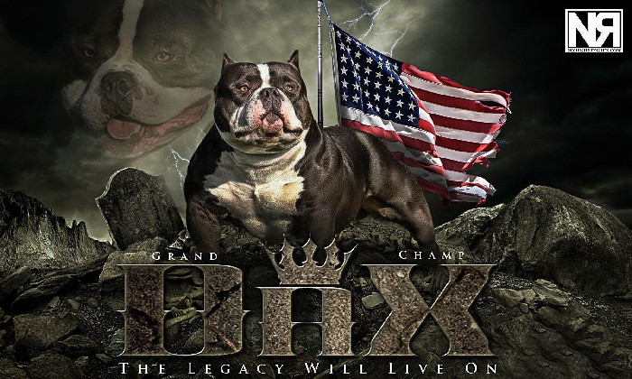 Victor Bullies Finland